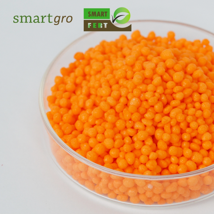 44-0-0 Compound Fertilizer Malaysia Top Grading Polymer Coated Urea ...