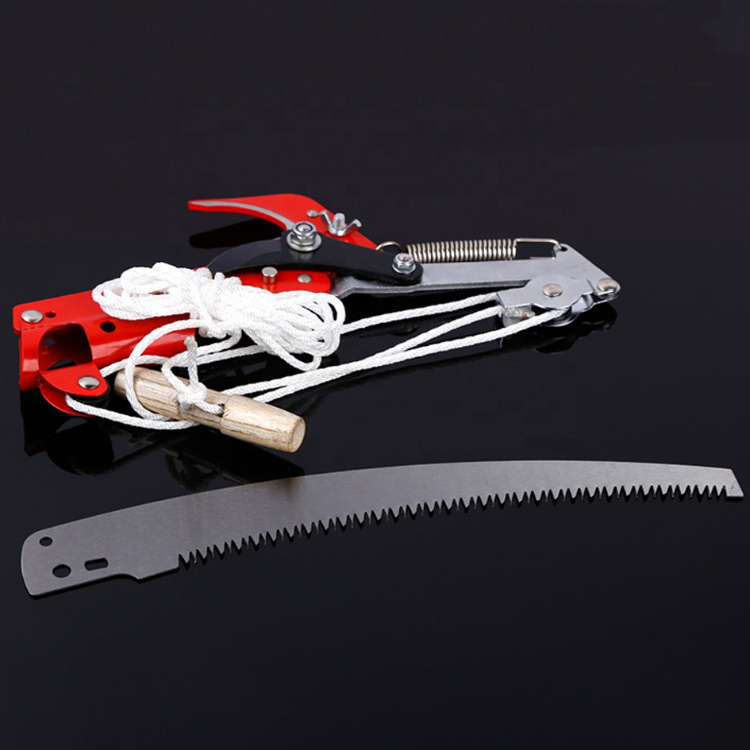 Buy Wholesale China Extendable Telescopic Garden Lopper Tree Trimmer ...