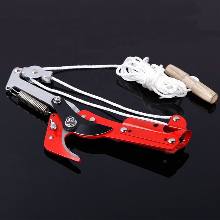 Buy Wholesale China Extendable Telescopic Garden Lopper Tree Trimmer ...