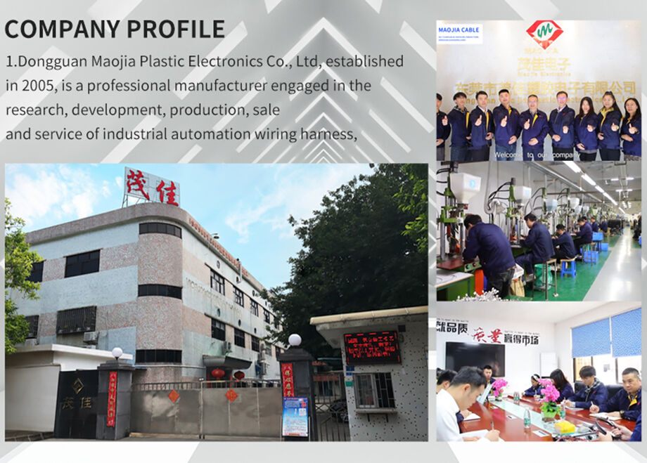 Custom Molex Micro-fit Cable Molded Overmolded Molex Micro Fit 3.0 ...