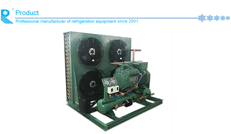 Buy Wholesale China Single Phase Gas R404 Bitze Refrigeration ...