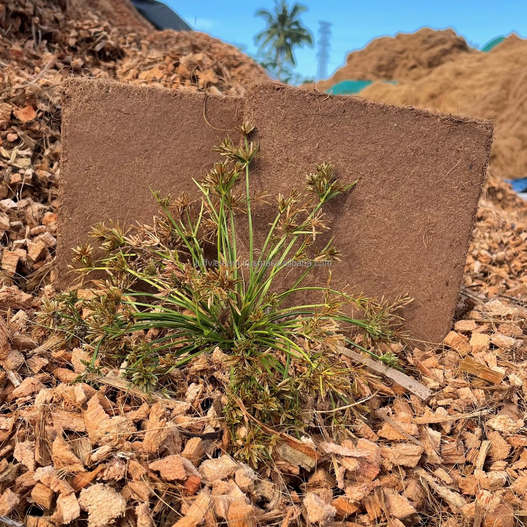 Buy Wholesale Vietnam Soilless Use Cocopeat Mix Soil Pith Coir Peat ...