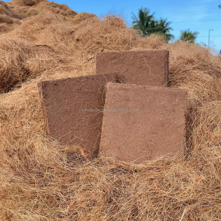 Buy Wholesale Vietnam Soilless Use Cocopeat Mix Soil Pith Coir Peat ...