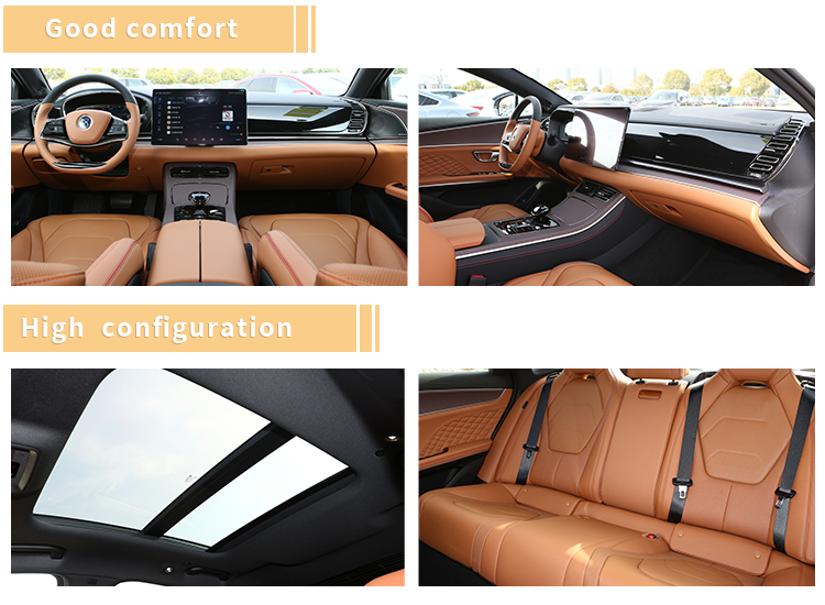 Mobil Listrik Ev 2022 Suv 710km 2023 Tahun China Jarak Jauh Sedan Dm-p ...