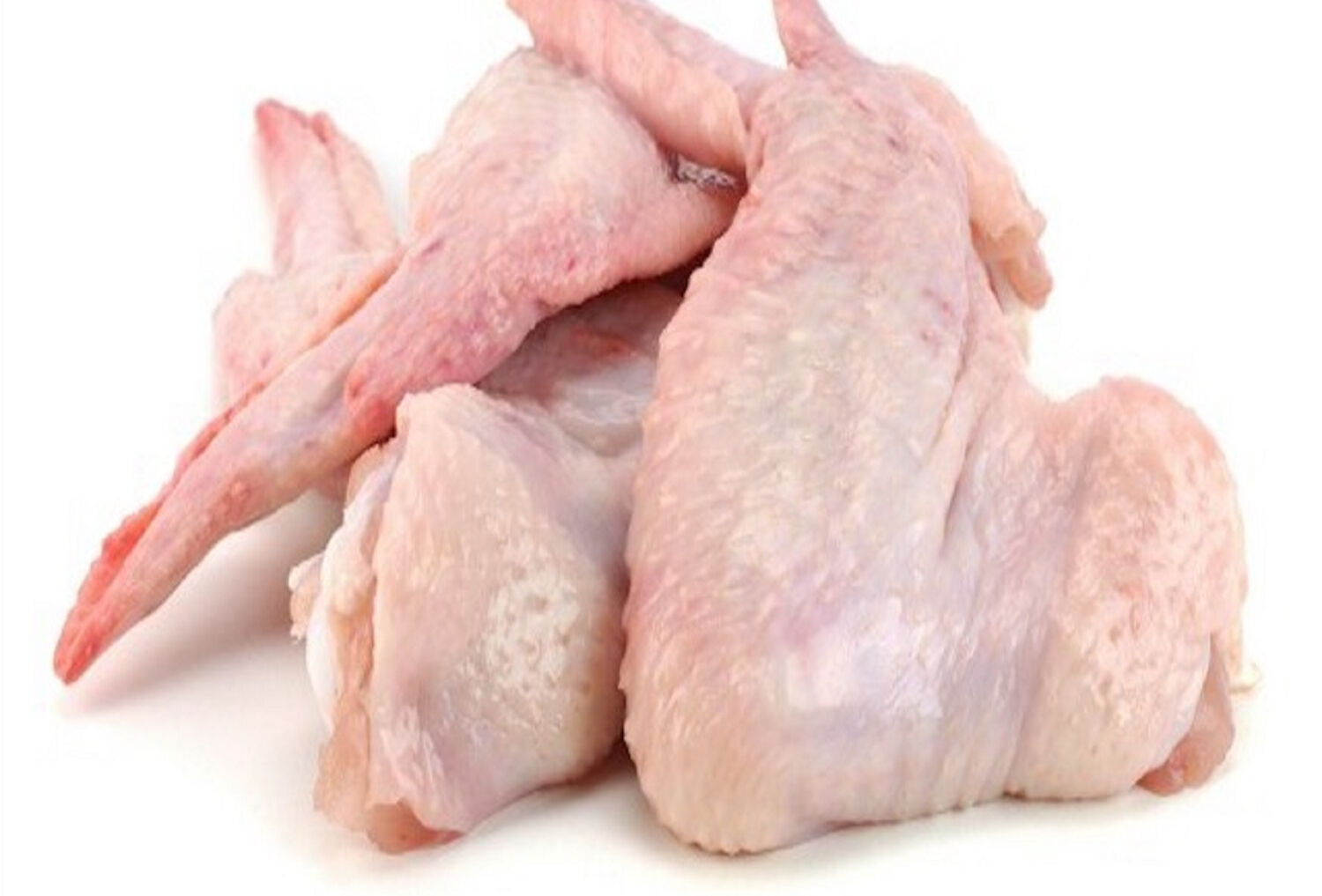 Buy Wholesale Thailand Buy Wholesale Halal Frozen Chicken Wings / Cheap ...