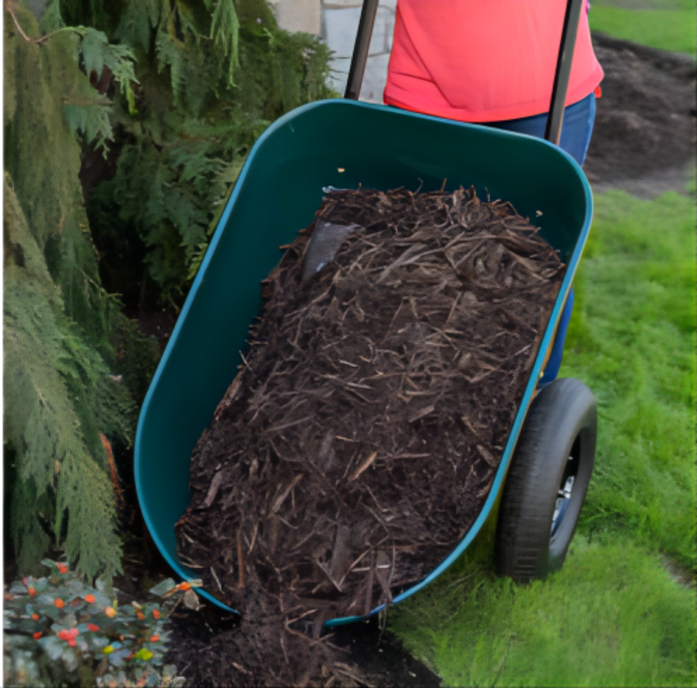 Besto High-quality And Wholesale Prices Wheelbarrow Garden Star Dual ...