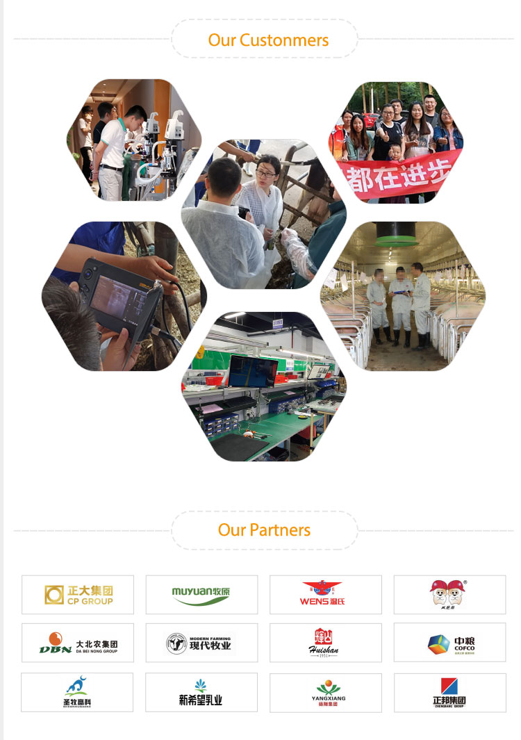 Medical Laboratory Equipment 5-diff Clinical Blood Test Machine Cbc ...