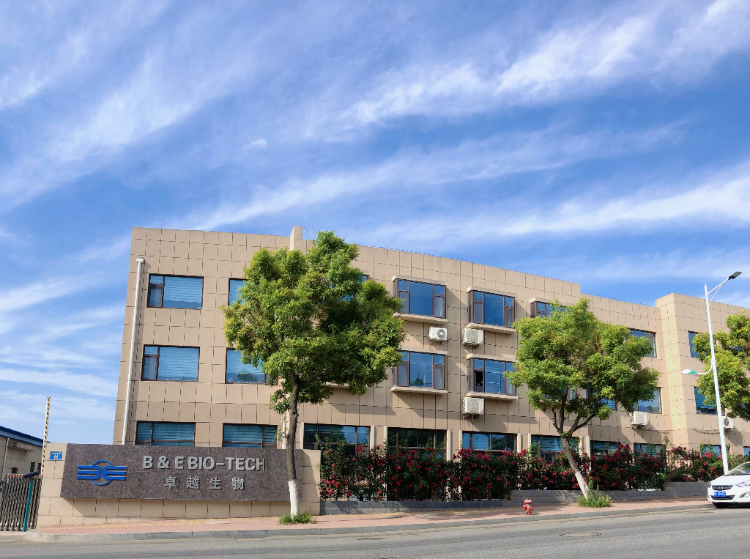 Human Cbc Machine Portable Auto Hemogram Hematology Analyzer Price ...