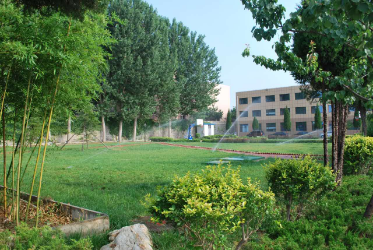 Human Cbc Machine Portable Auto Hemogram Hematology Analyzer Price ...