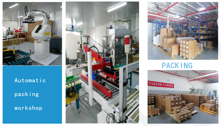 Human Cbc Machine Portable Auto Hemogram Hematology Analyzer Price ...