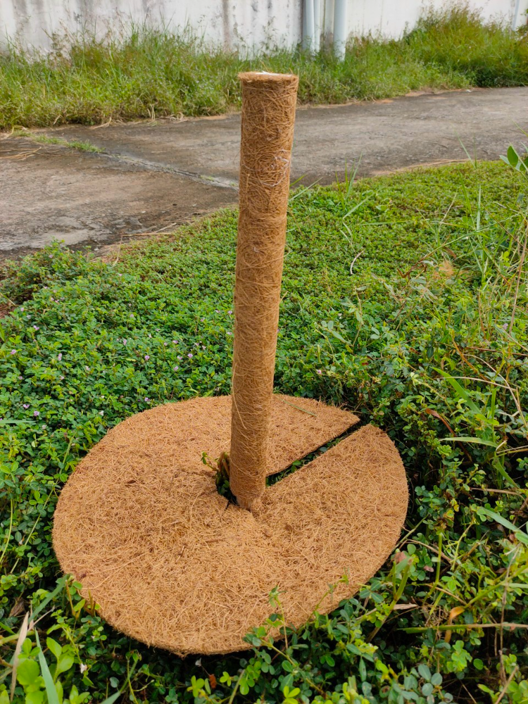 Buy Wholesale Vietnam Coco-eco Brand High Quality Natural Coconut Fiber ...