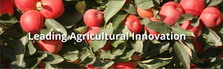 Buy Spain Wholesale Hot Sale Spain Strong 1l Insecticide For Insects ...