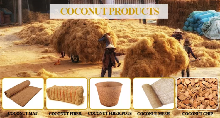 Buy Wholesale Vietnam Eco Friendly Coconut Palm Stick Coir Moss Totem ...