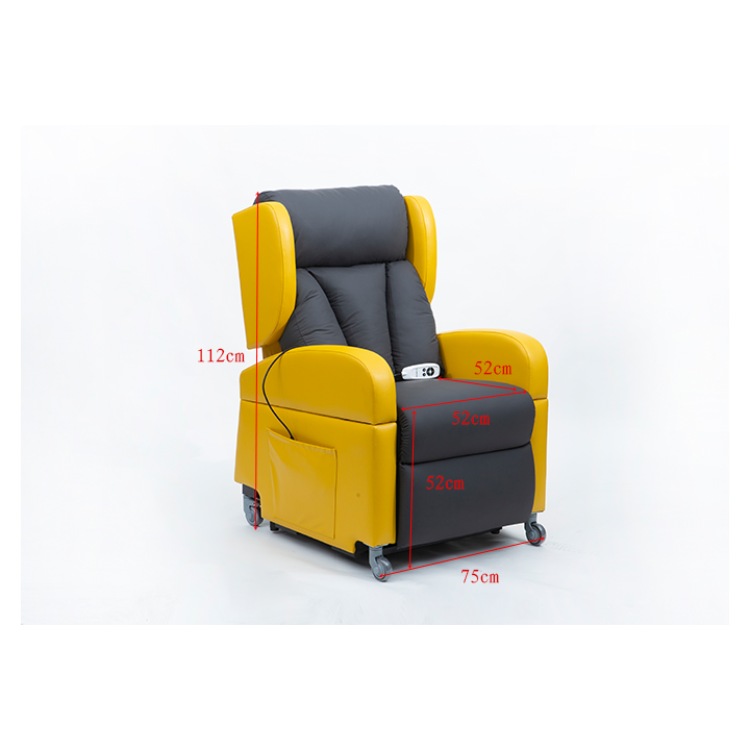 Hot Sale Living Room Furniture Vertical Lifting Elderly Electric Lift ...