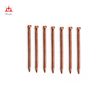 Au1990-2334 50mm X 2.8mm Bright Bullet Head Nails 15kg Bucket Packing ...