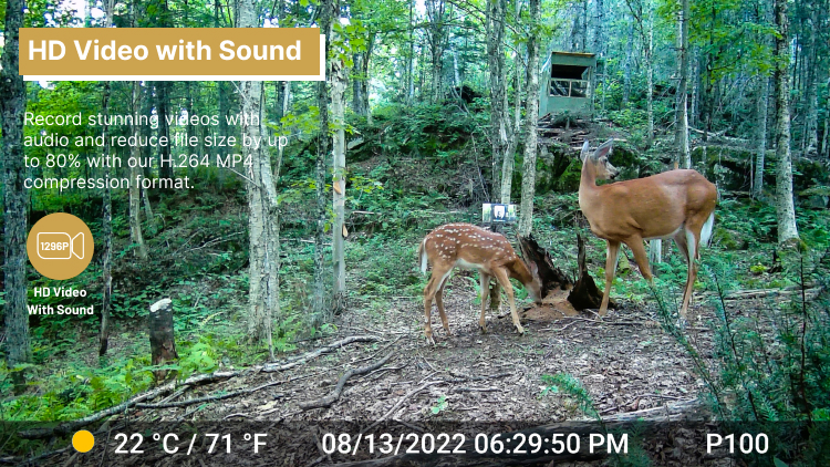 Wifi Hunting Game Gardepro E7 Wireless Trail Camera Free App Sim Card Not Needed Safety Guard ...