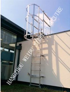 Frp Grp Fiberglass Fixed Ladder With Cages & Walk Through Ladder ...