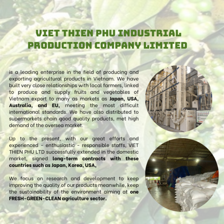 Buy Vietnam Wholesale White Pepper Excellent Quality And Flavor White ...