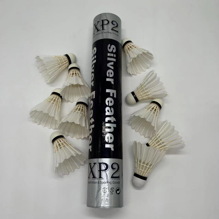 Xp2 Silver Original Manufacturer Hot Sale In The Philippines Durable ...