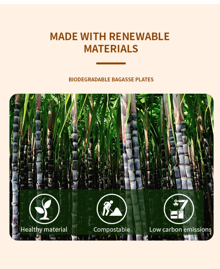 Buy Wholesale China Luzhou Pack Eco Friendly Biodegradable Lunch Box ...