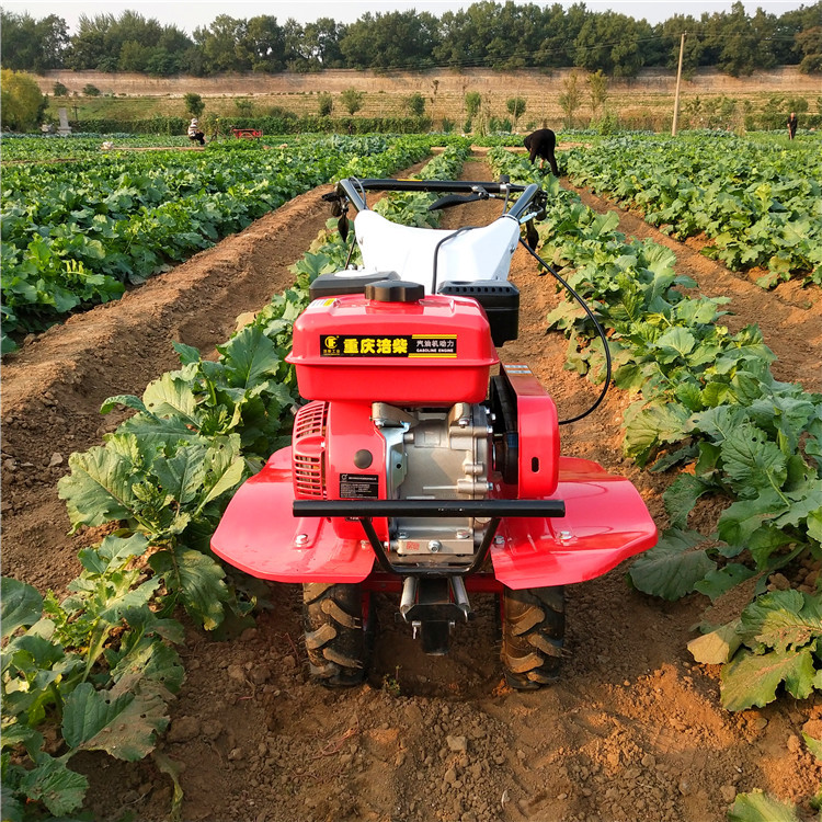 Buy Wholesale China Haipei Factory 170 Gasoline Engine Farm Mini Tiller ...