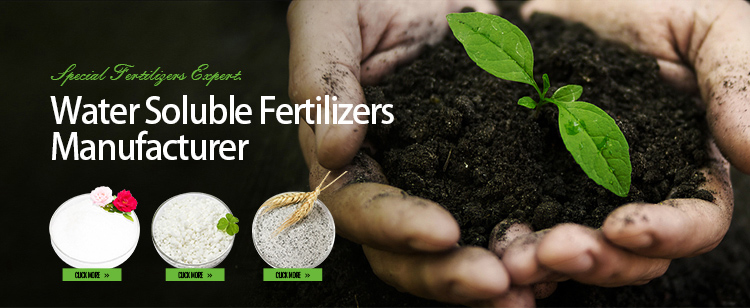 Buy China Wholesale Straight Agent Fertilizer Map Fertilizer 12-61-0 ...