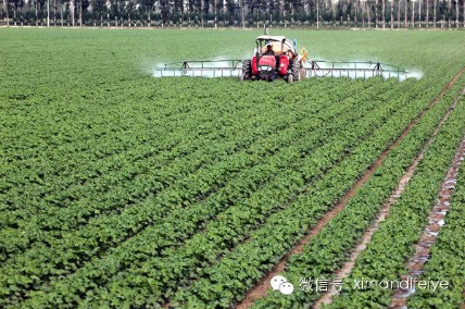 Buy China Wholesale Straight Agent Fertilizer Map Fertilizer 12-61-0 ...