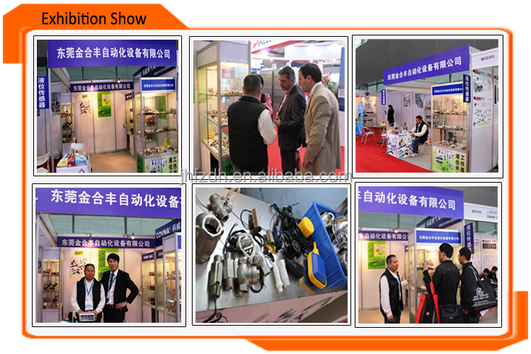 Customization Dn15 G1/2 Thread Liquid Tank Level Probe Steam Boiler ...