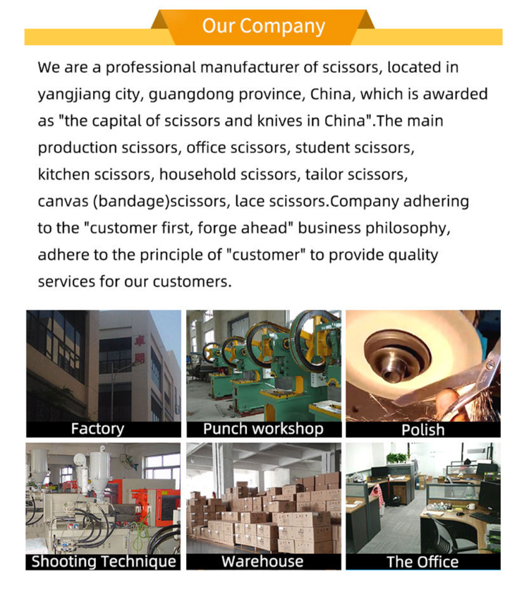 6 Inch Four Holes Stainless Steel Parent-child Scissors Children's ...