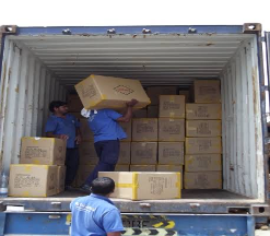 Easily Installation Mcp Protection Cover Protection Cover For Call ...