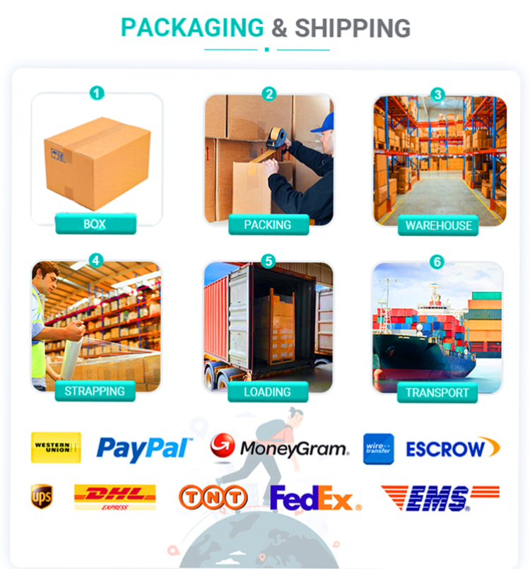 Buy Wholesale China Trustworthy Anorectal Urology Surgical Equipments ...