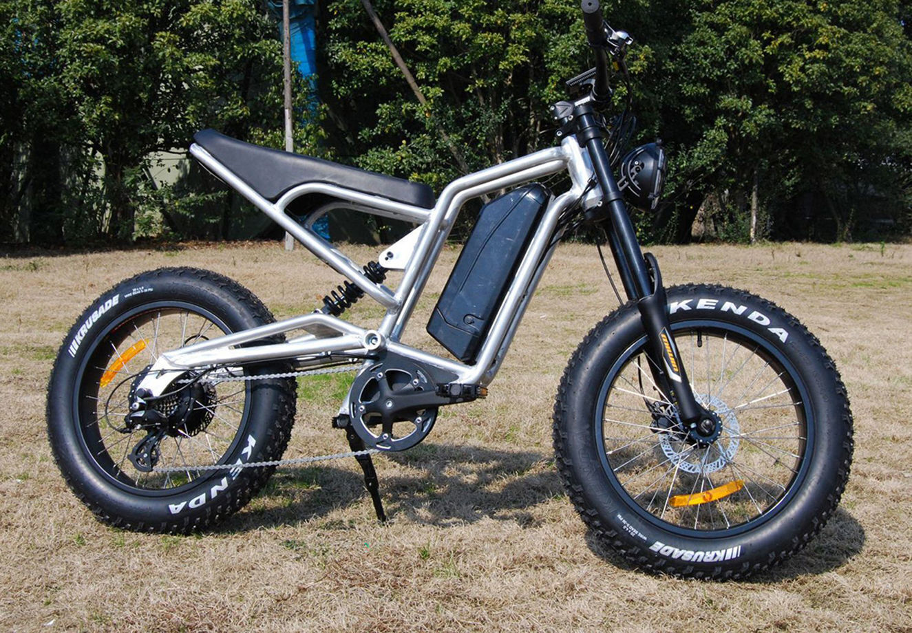 Buy Wholesale China 2023 Wide Tire Snow Electric Bike 20'' Aluminum ...