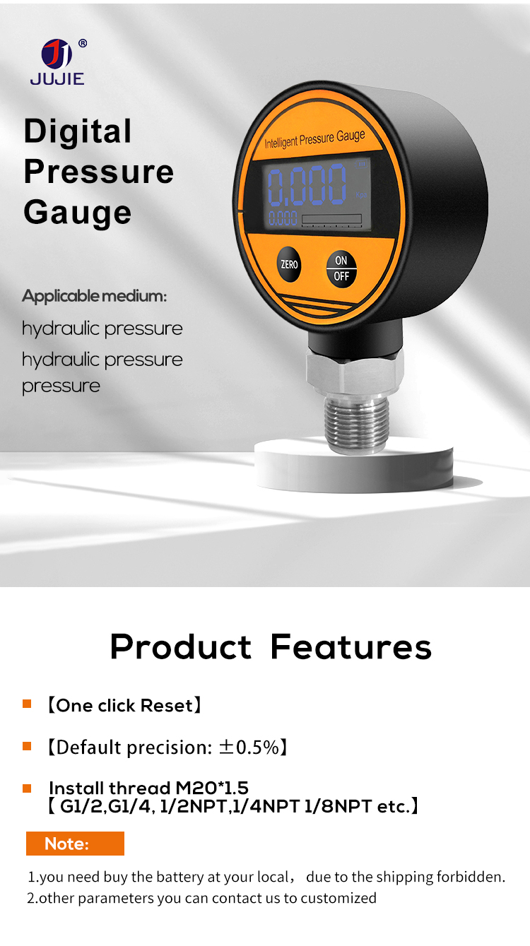 Buy Wholesale China Digital Pressure Gauge Negative Pressure Switch ...
