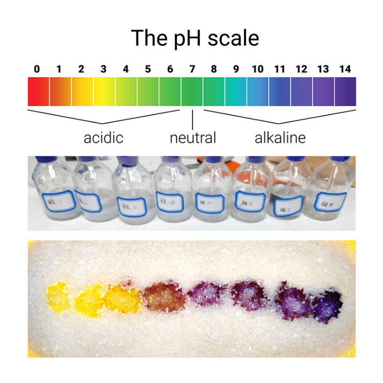 Buy Wholesale China Areeman Oem Highly Absorbent Dust Free Ph Health ...