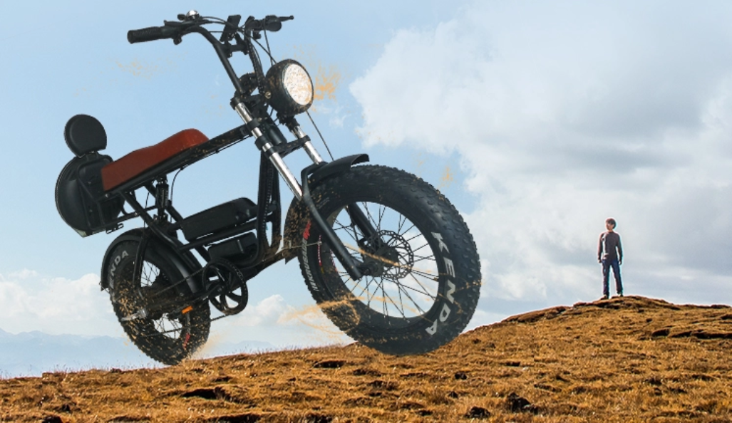 Buy Wholesale China Most Welcomed Dual Seat Two People Ebike 48v 1000w ...