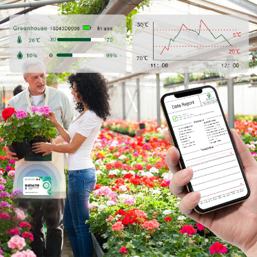 2023 New Model Ble Temperature Sensor Beacon Temperature Data Logger $6 ...