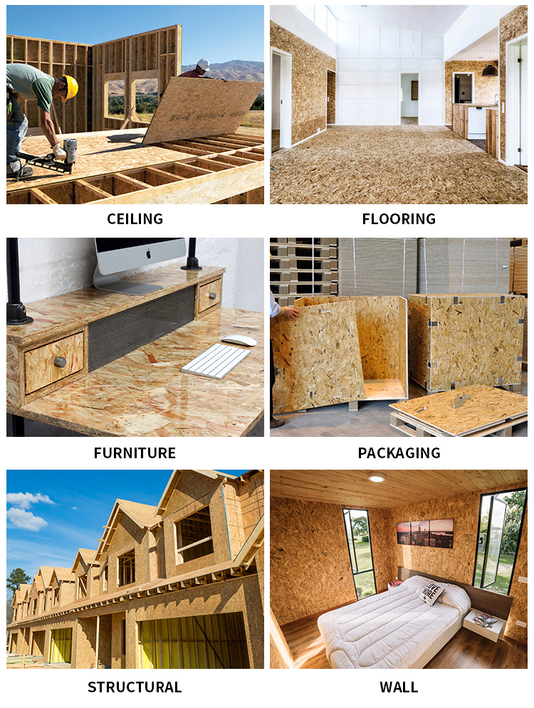 High Quality 12mm 18mm Oriented Strand Board Osb Structural Panel Price - Explore China ...
