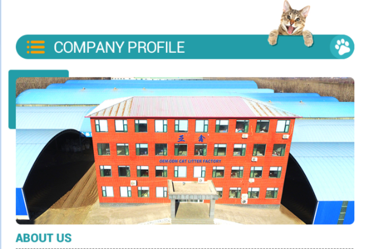 Professional Cat Litter Manufacturing Bentonite Cat Litter Raw Ore Best ...