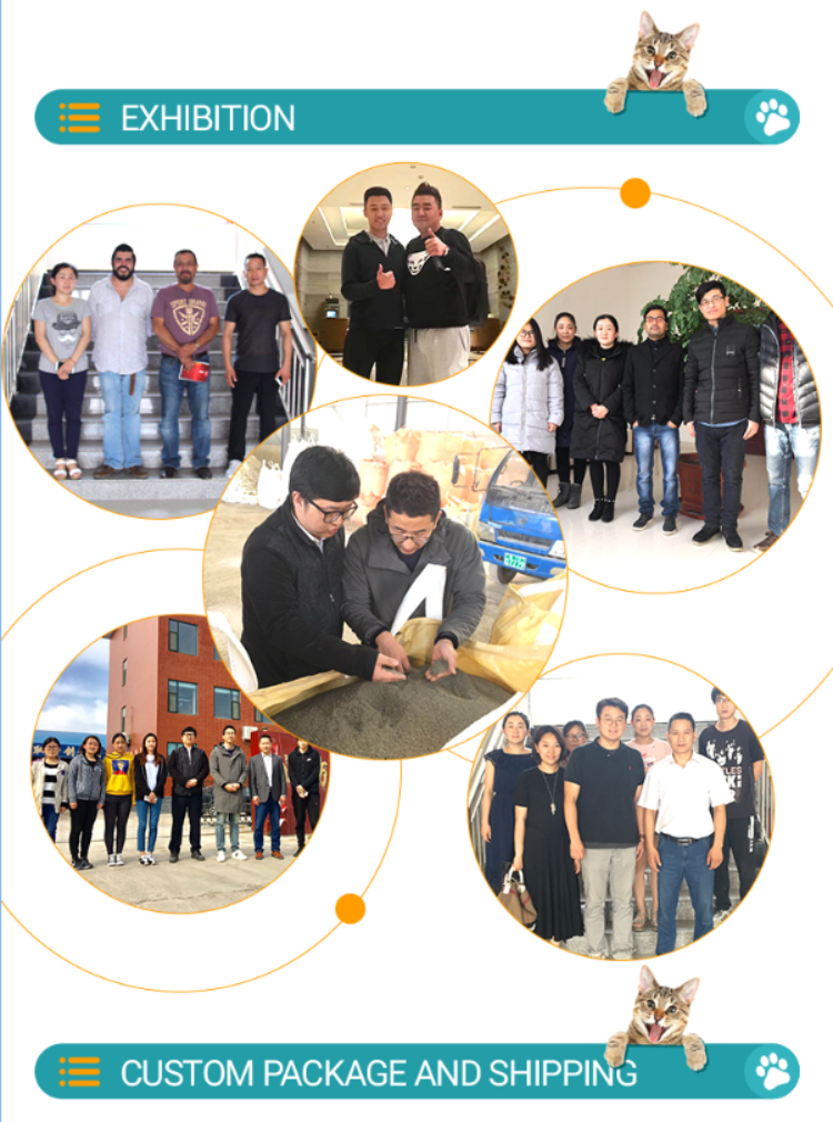 Professional Cat Litter Manufacturing Bentonite Cat Litter Raw Ore Best ...