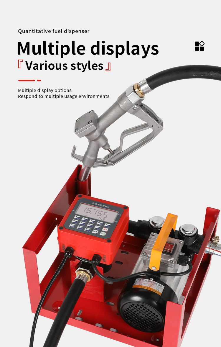 Mobile Portable Diesel Pump 110/220v Portable Fuel Diesel Pump And ...