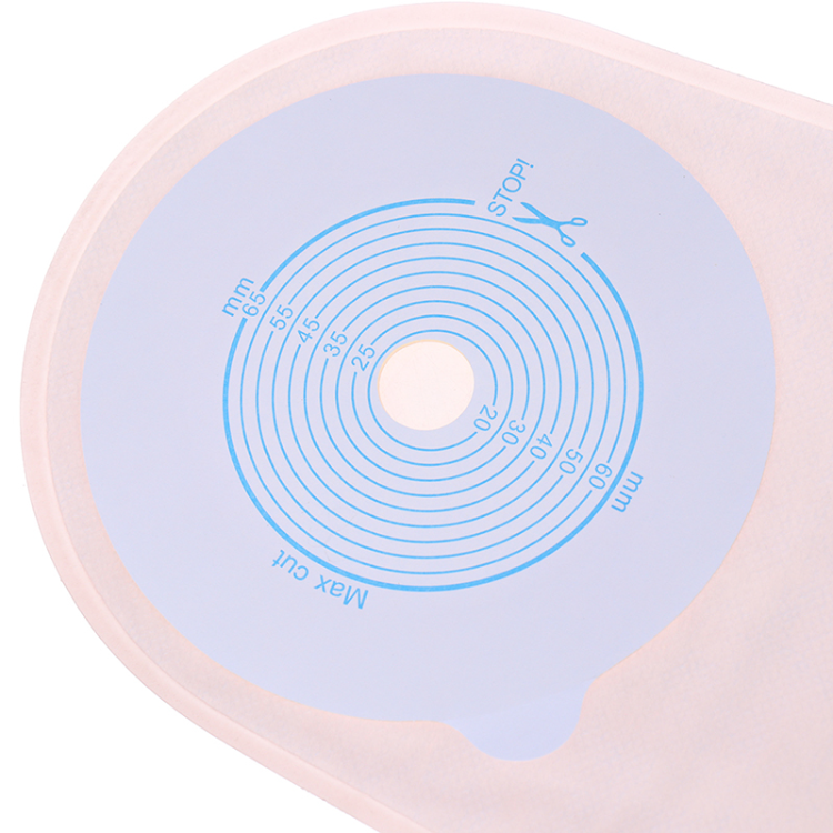 10pcs One-piece System Colostomy Bags Disposable Ostomy Drainable ...