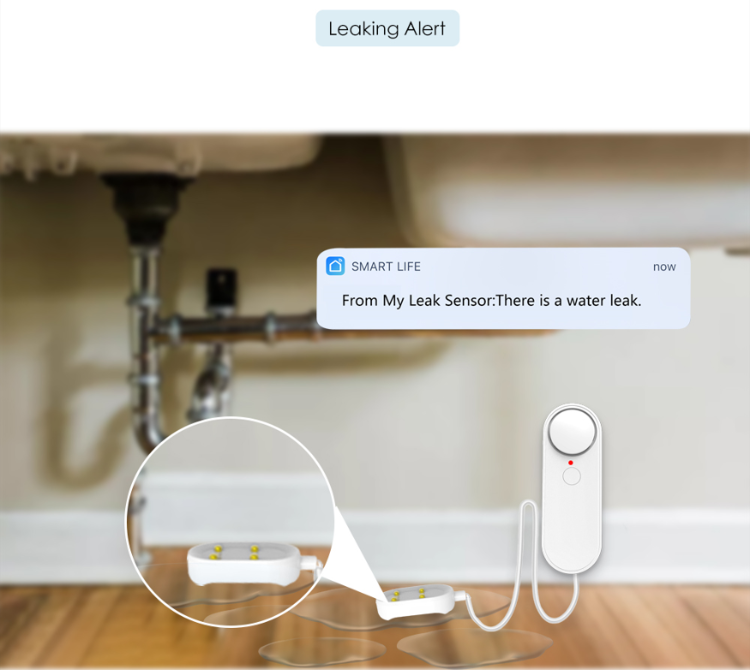 Buy Wholesale China Smart Water Flow Level Sensor With Alarm Alexa ...