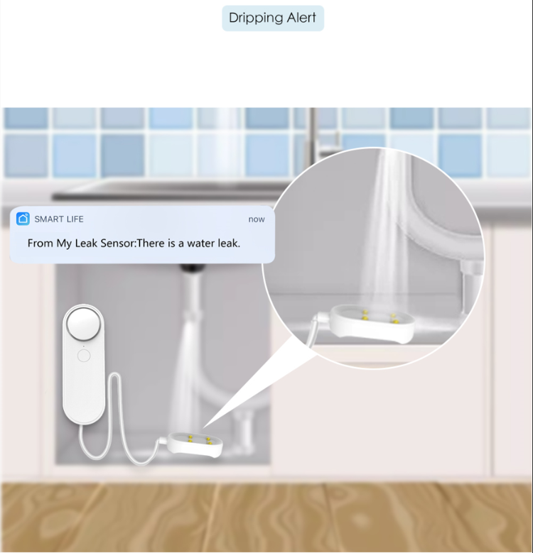 Buy Wholesale China Smart Water Flow Level Sensor With Alarm Alexa ...