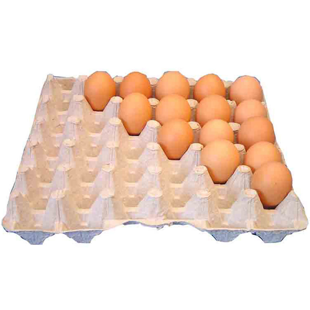 Buy Wholesale China Mold Recycle Biodegradable Quality Egg Tray Paper ...