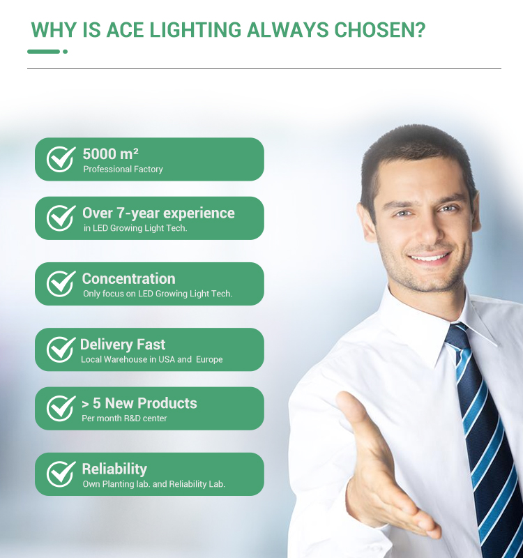 Buy Wholesale China High Density Dotless Cuttable Dc24v 8mm 320leds ...