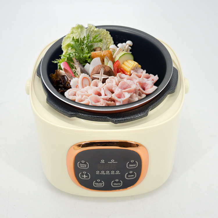 Buy Wholesale China Pressure Cooker Home Use 2.0l Power Pressure Cooker ...