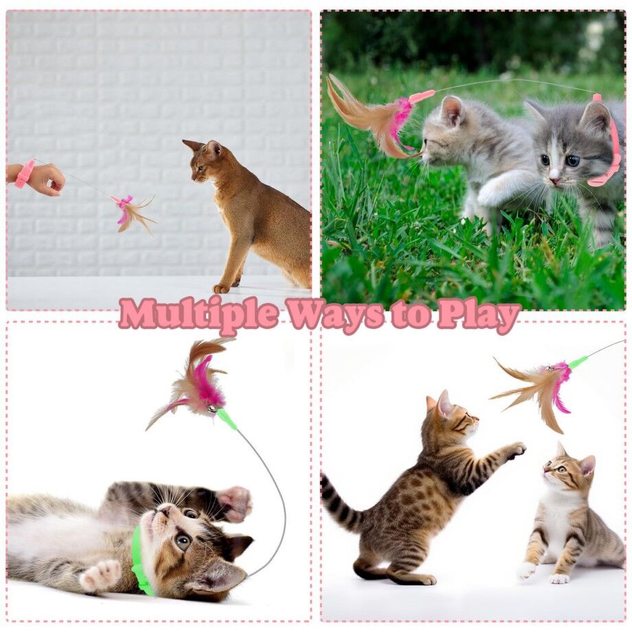 Factory Direct High Quality China Wholesale New Design Pet Interactive ...