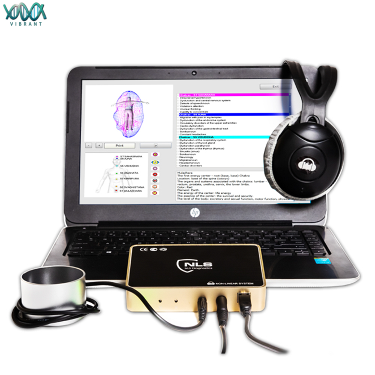 Free Shipping Original 17d Nls Non Linear Diagnostic System 18d ...