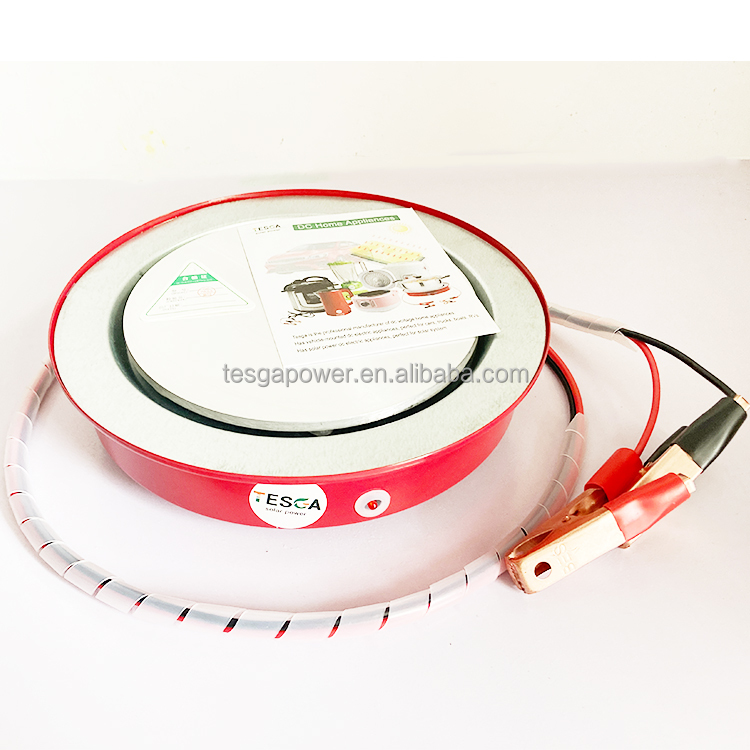 Buy Wholesale China Free Shipping 24v Dc Electric Induction Cooker ...