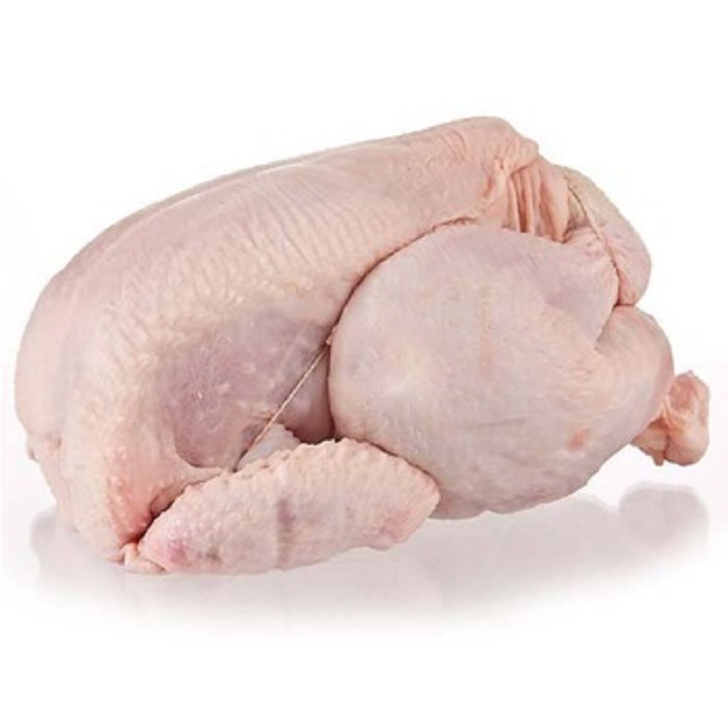 Buy Wholesale United States Halal Whole Frozen Chicken... Great Prices ...